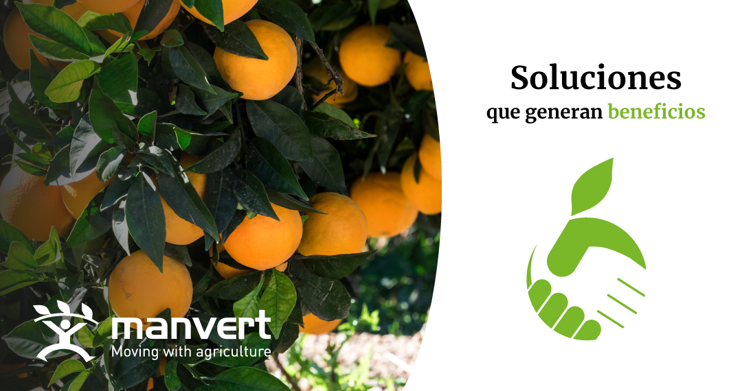 Manvert ofrece soluciones de bajo impacto ambiental para maximizar el ...